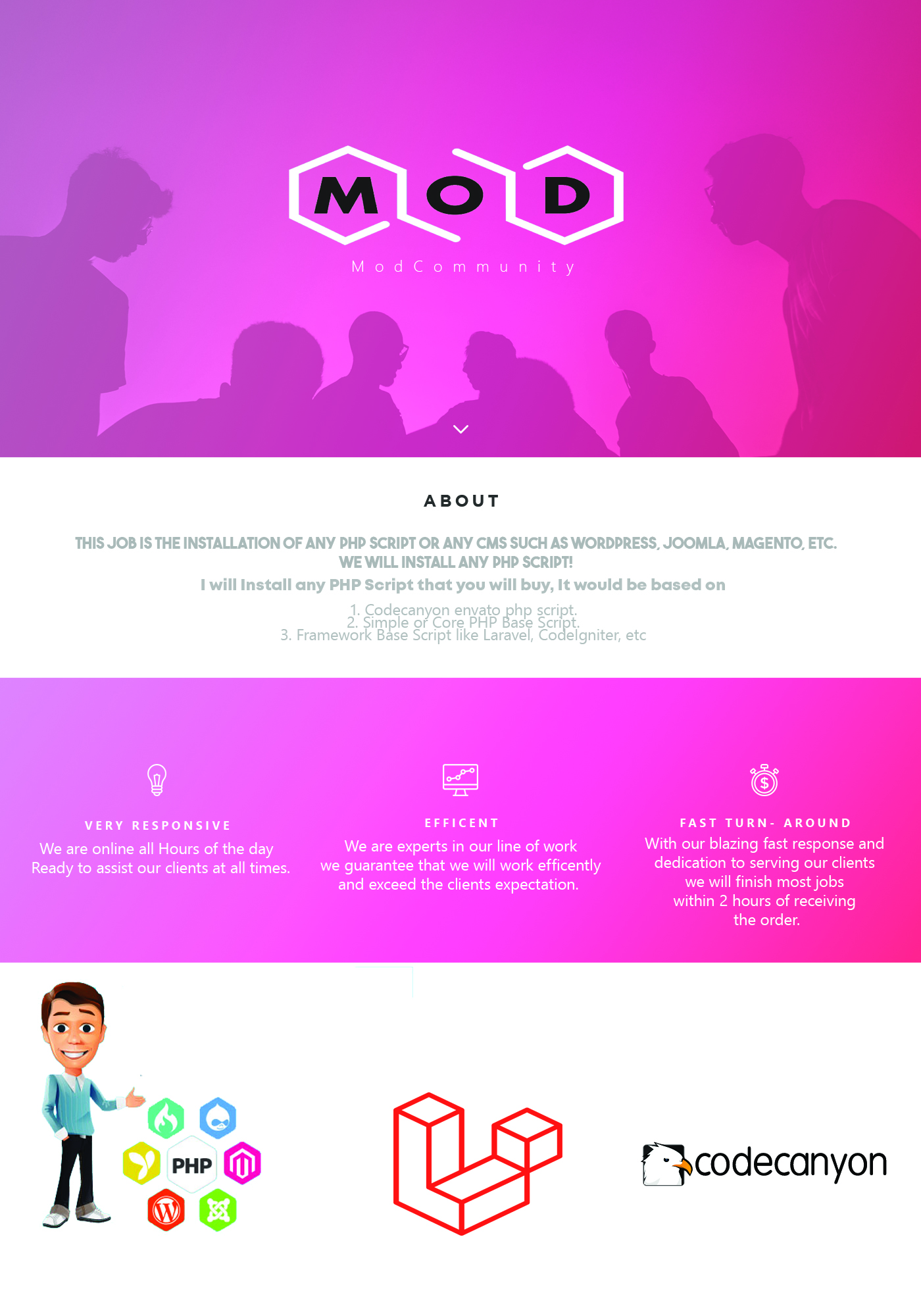 I will install any PHP script On your Shared web hosting, vps, or ...